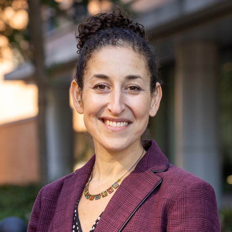 Adolescent Brain Development and Social Media Use | Eva Telzer, PhD ...